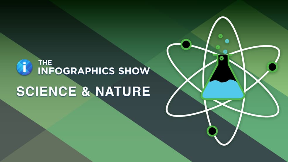 Watch The Infographics Show: Science & Nature Streaming Online | Tubi ...