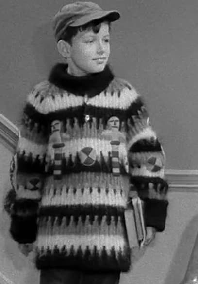 Watch Leave It to Beaver S02:E31 - Beaver's Sweater - Free TV Shows | Tubi