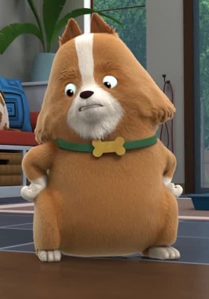 Watch Agent Binky: Pets of the Universe S01:E14 - Dog Gone Cat / Purst ...