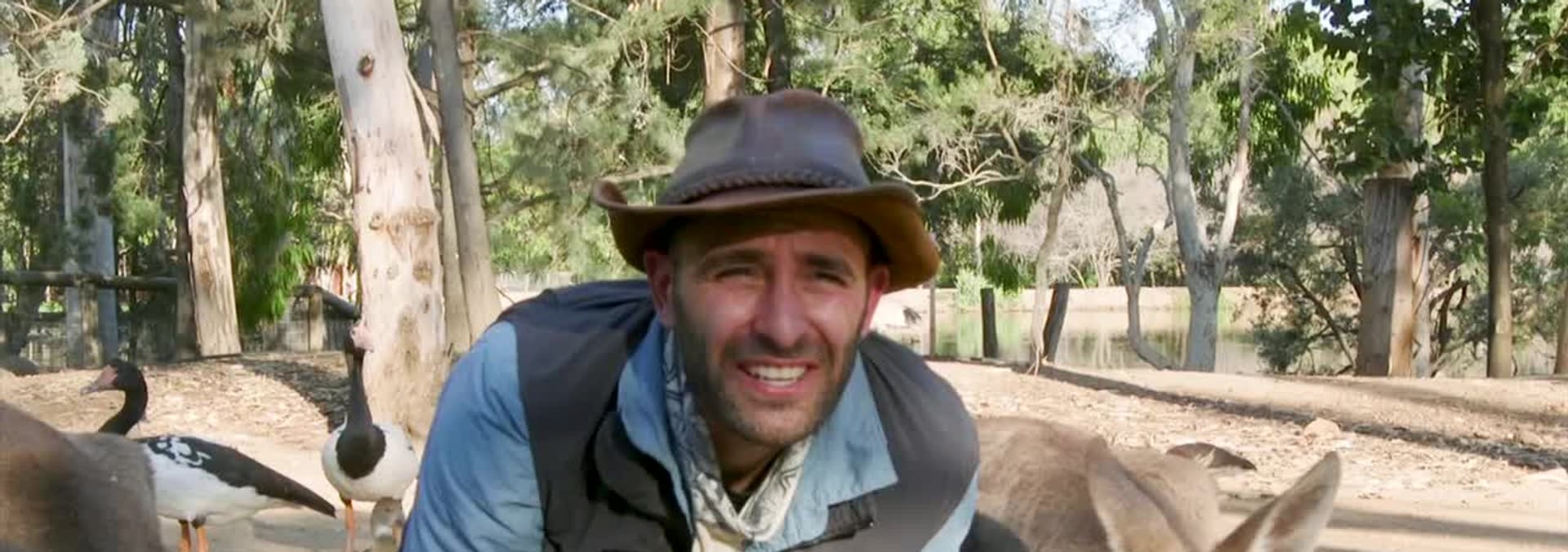 Watch Brave Wilderness S05:E04 - Don't Wake the Wombat - Free TV Shows ...
