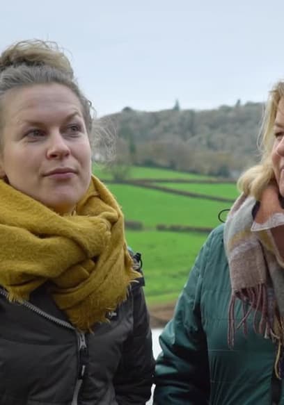 Watch Impossible Builds S01:E02 - Amazing Beehive House - Free TV Shows ...