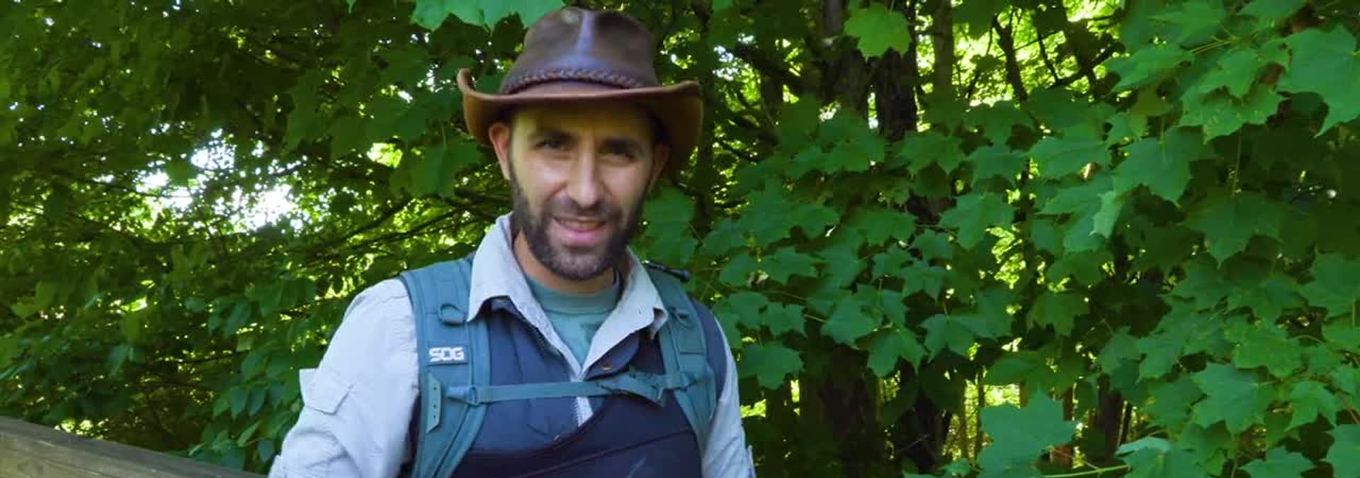 Watch Brave Wilderness S06:E15 - Ouch! That Must Have Hurt - Free TV ...