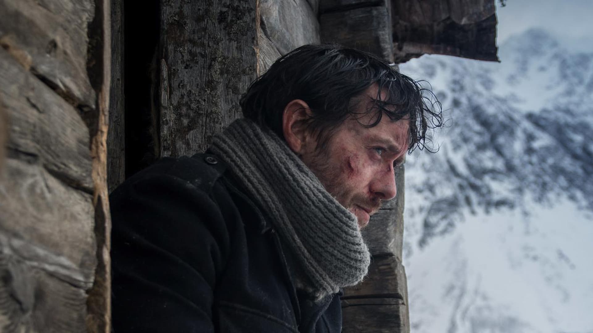 Watch The 12th Man (2017) - Free Movies | Tubi