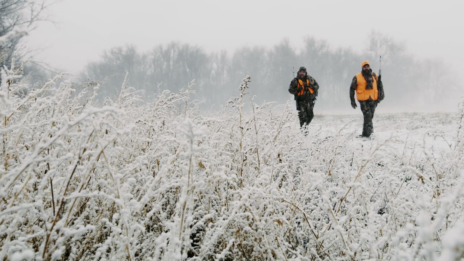 Watch Missing 411: The Hunted (2019) - Free Movies | Tubi