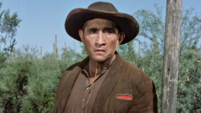 Watch Death Valley Days S14:E01 - Temporary Warden - Free TV Shows | Tubi