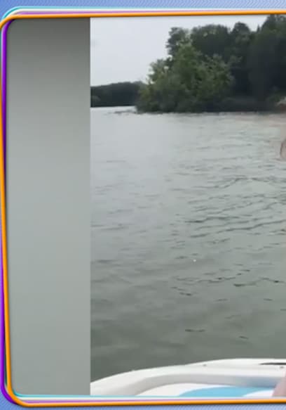 Watch AFV's Best of the Best Countdown S01:E01 - Water Fails - Free TV ...