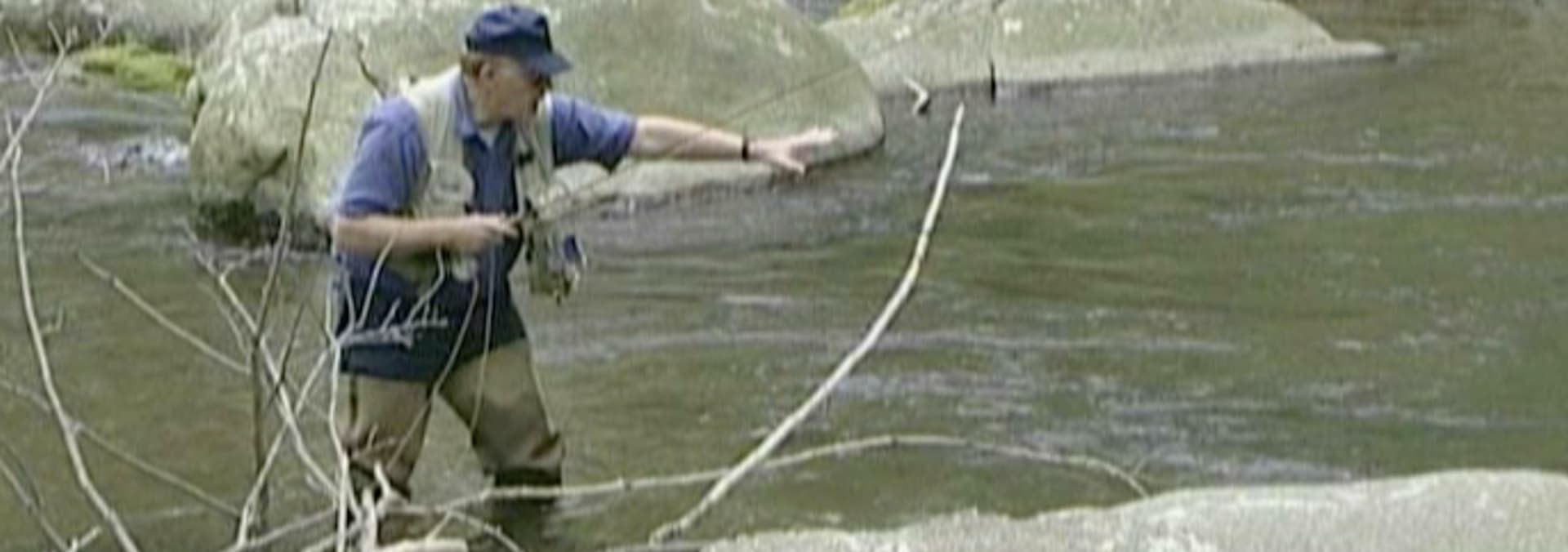 Watch Fly Fishing for Trout (2005) - Free Movies | Tubi