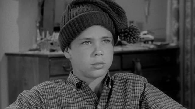 Watch Leave It to Beaver S01:E16 - Lumpy Rutherford - Free TV Shows | Tubi