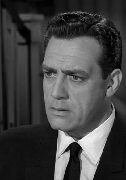 Watch Perry Mason S05:E23 - The Case of the Absent Artist - Free TV ...