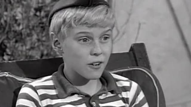 Watch Dennis the Menace Season 4 - Free TV Shows | Tubi