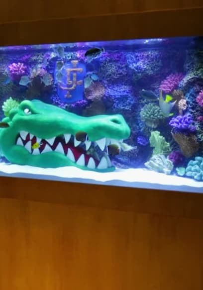 Watch Tanked S10:E01 - 100 Episodes STRONG! - Free TV Shows | Tubi