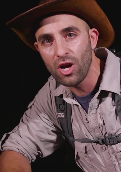 Watch Brave Wilderness S01:E04 - Frogs Galore - Free TV Shows | Tubi