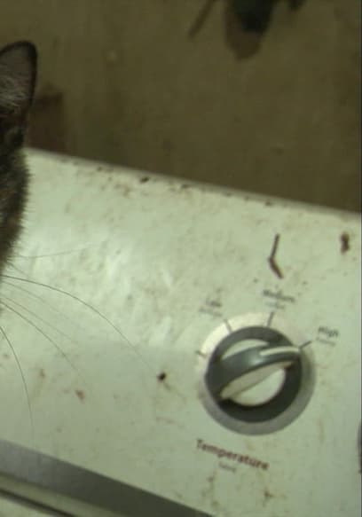 Watch Hoarders S04:E13 - John / Vivian - Free TV Shows | Tubi