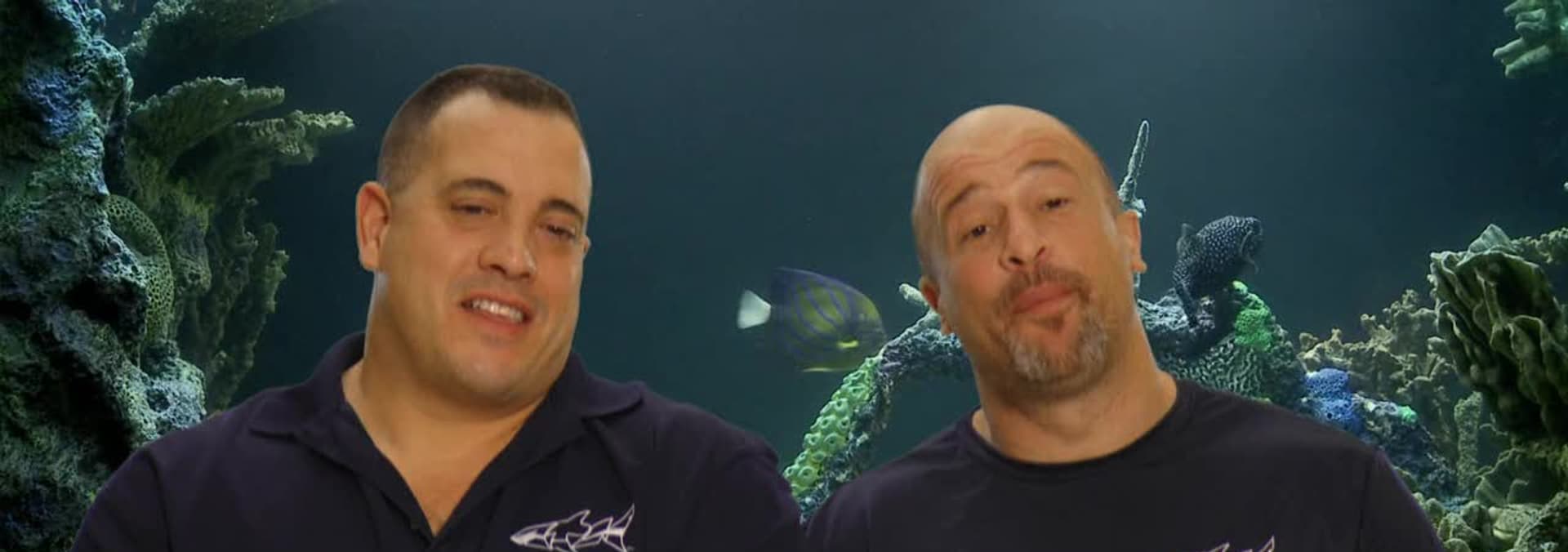 Watch Tanked S04:E04 - Tip of the Hat to the Devils - Free TV Shows | Tubi