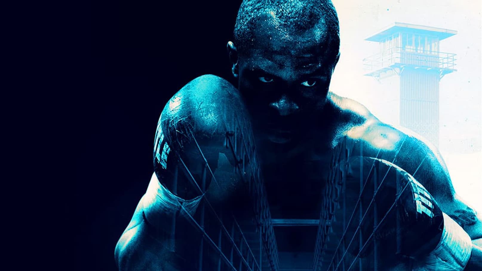 Watch The Hammer (2017) - Free Movies | Tubi