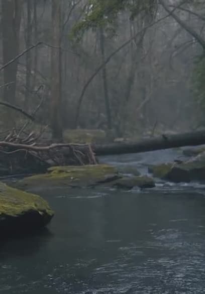 Watch Becoming Borderless S01:E08 - Keep on Keeping On - Free TV Shows ...