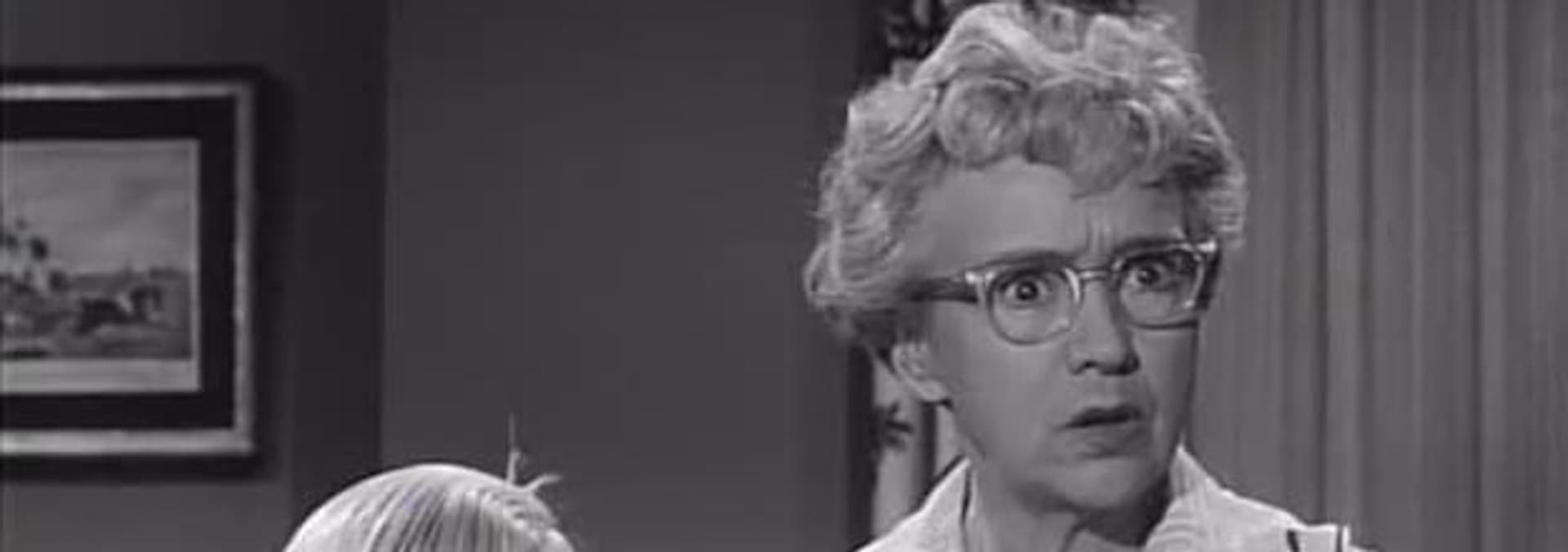 Watch Dennis the Menace S02:E29 - The Boy Wonder - Free TV Shows | Tubi