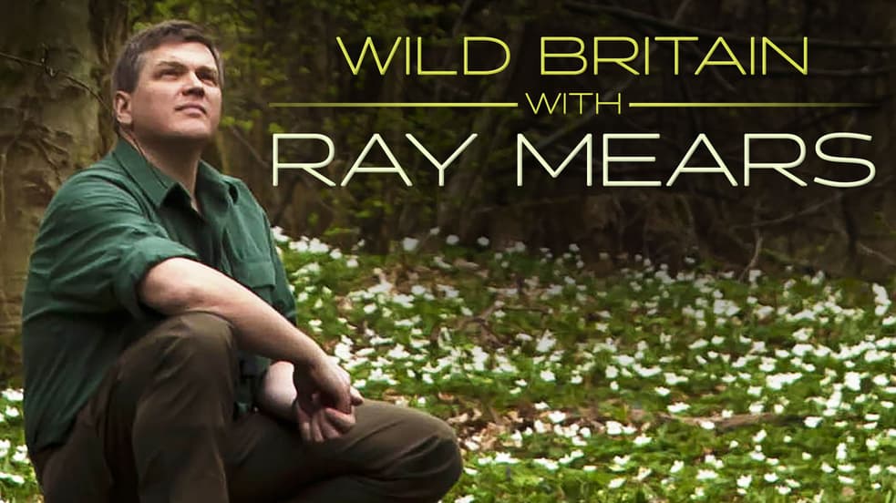 Watch Wild Britain With Ray Mears - Free TV Shows | Tubi