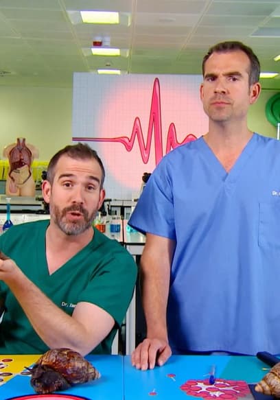 Watch Operation Ouch S08:E13 - What Happened Next?! - Free TV Shows | Tubi