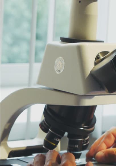 Watch Gangsters: America's Most Evil S01:E07 - Anthony Shea and the No ...