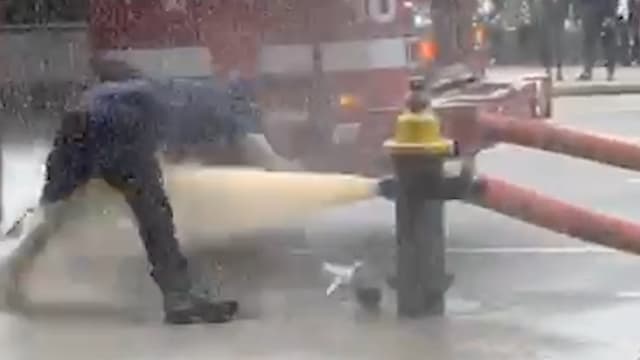 Watch AFV's Ultimate Top 1000 S01:E06 - Kitty Corner - Free TV Shows | Tubi