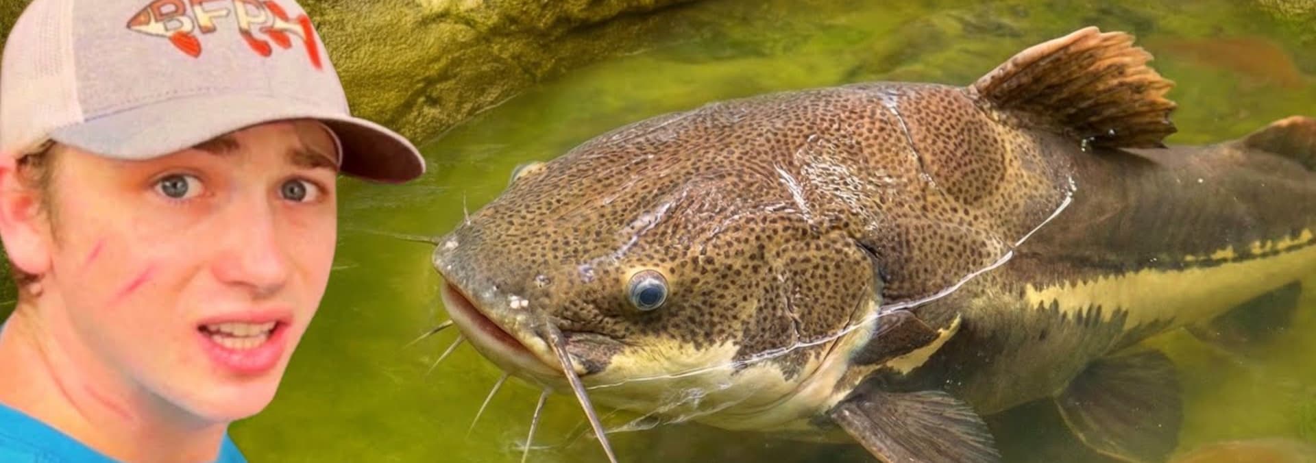 Watch Bass Fishing Productions S04:E06 - I Saved Abandoned Fish LIVING ...