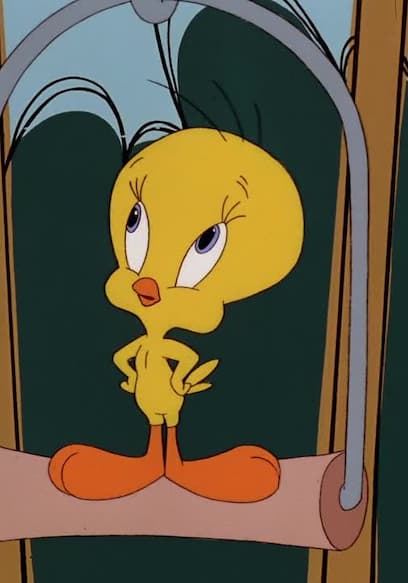 Watch The Sylvester & Tweety Mysteries S03:E13 - A Good Nephew Is Hard ...