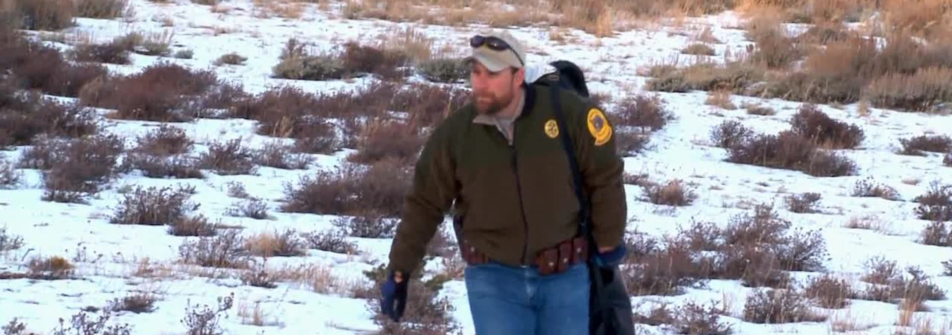 Watch Wardens S06:E14 - Double Kill - Free TV Shows | Tubi