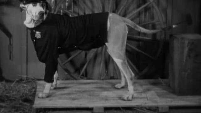 Watch The Little Rascals S01:E02 - Railroadin' - Free TV Shows | Tubi