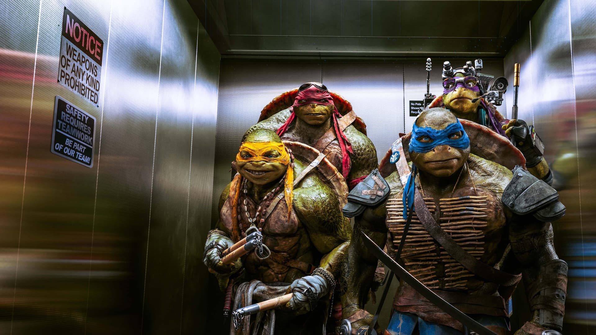 Watch Teenage Mutant Ninja Turtles (2014) - Free Movies | Tubi