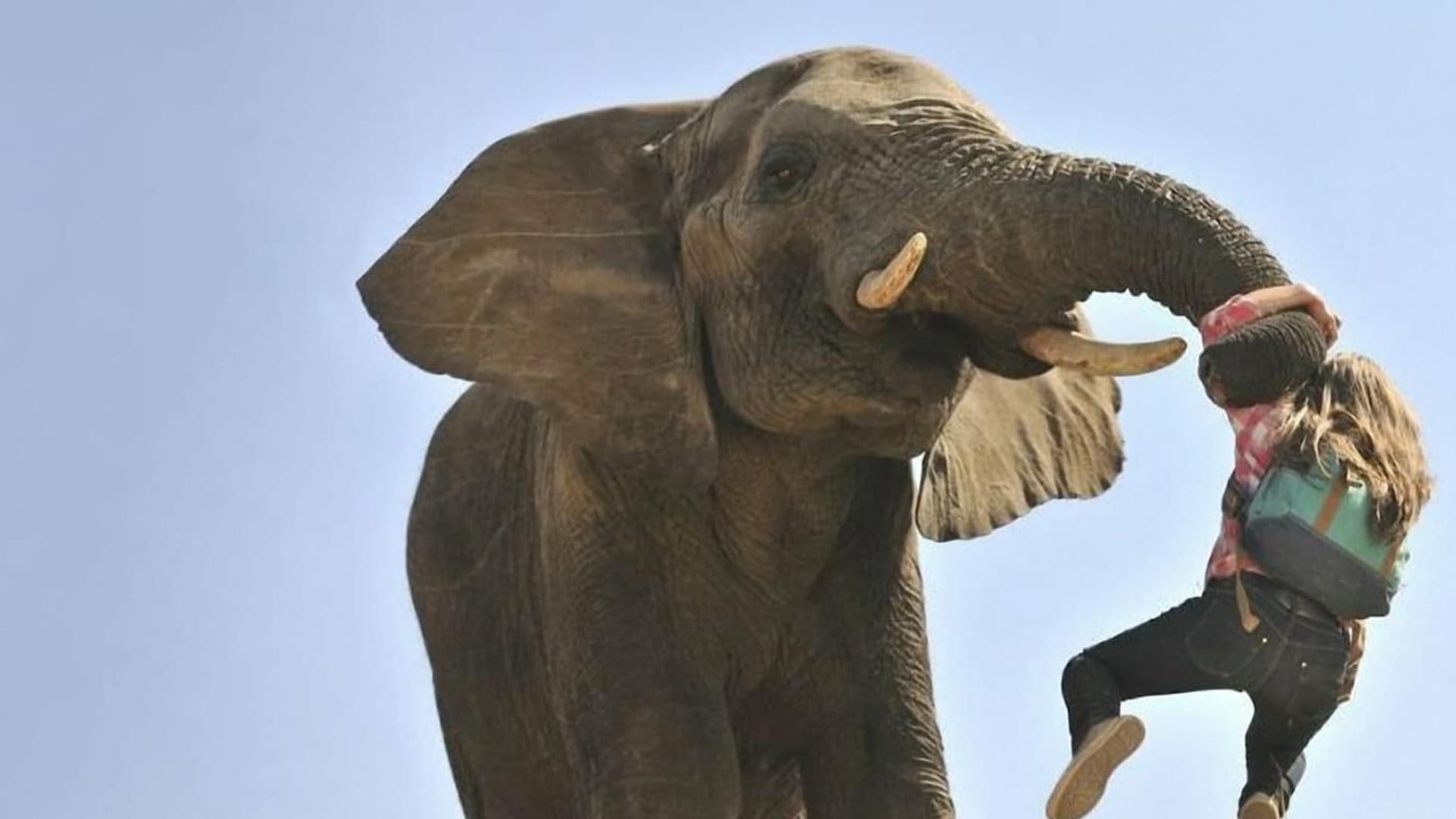 Watch Against the Wild II: Survive the Serengeti (2016 - Free Movies | Tubi