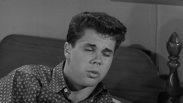 Watch Leave It to Beaver S03:E37 - Wally's Play - Free TV Shows | Tubi
