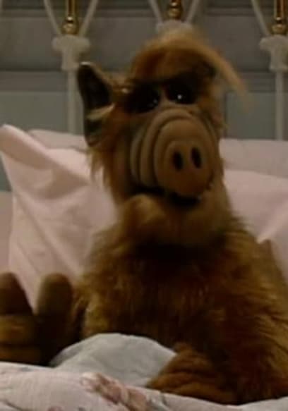Watch ALF S02:E09 - Night Train - Free TV Shows | Tubi