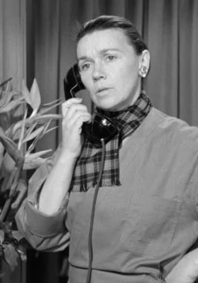 Watch The Adventures of Ozzie and Harriet S01:E27 - The Orchid and the ...