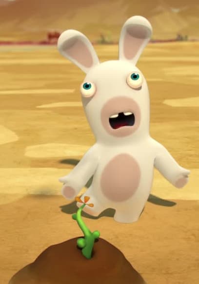 Watch Rabbids Invasion (Doblado) S02:E02 - El Rabbid Y La habichuela/El ...