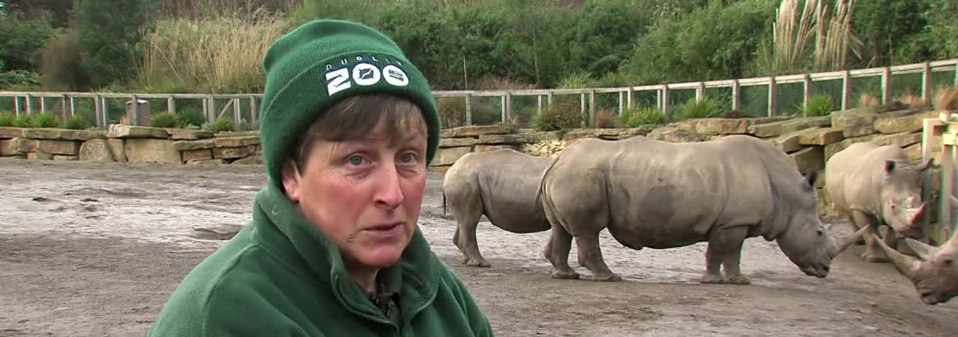 Watch The Zoo S06:E05 - Episode 5 - Free TV Shows | Tubi