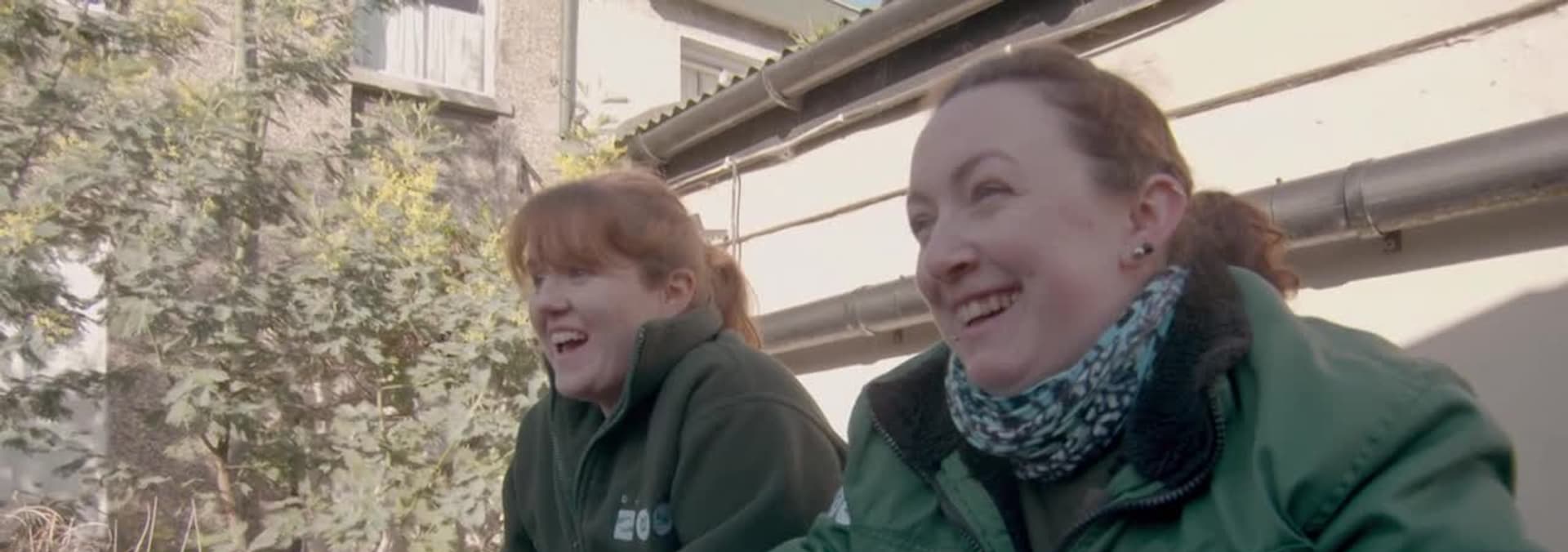 Watch The Zoo S07:E01 - Episode 1 - Free TV Shows | Tubi