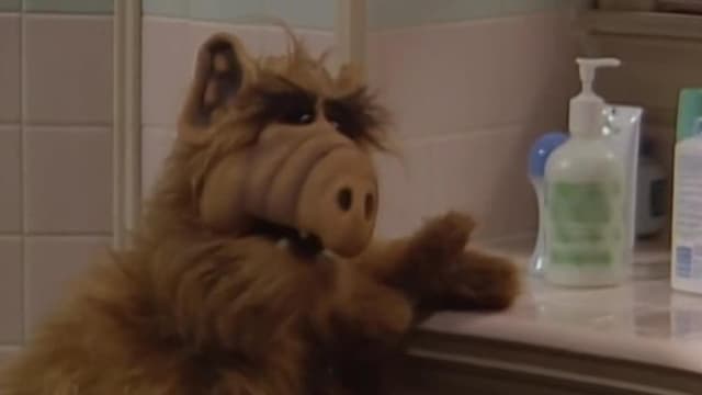 Watch ALF on ALF Streaming Online | Tubi Free TV