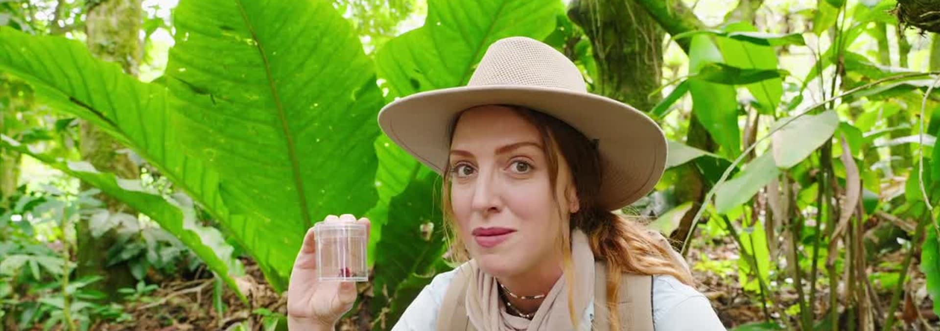 Watch Brave Wilderness S10:E10 - Ultimate Frog Scavenger Hunt! / Cold ...