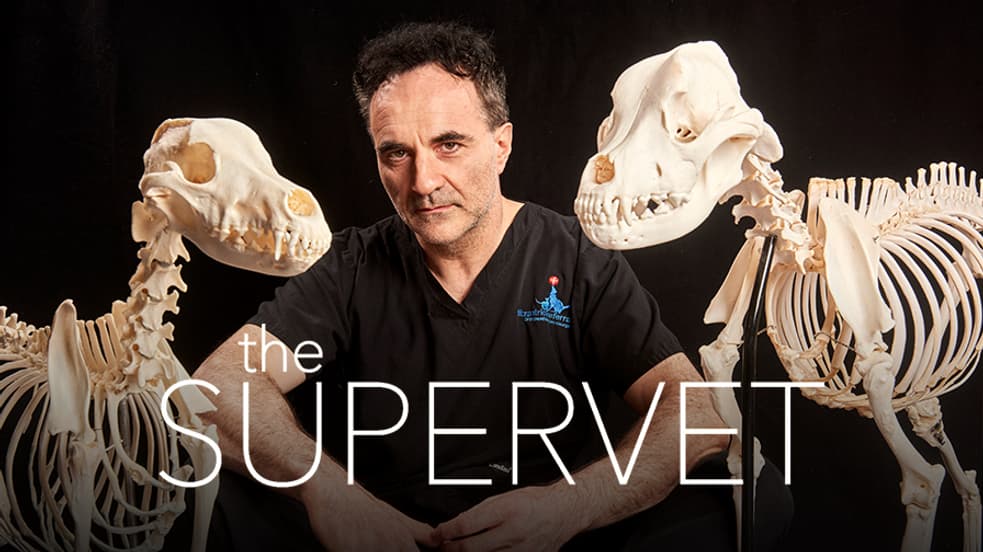 Watch The Supervet Season 7 Streaming Online | Tubi Free TV