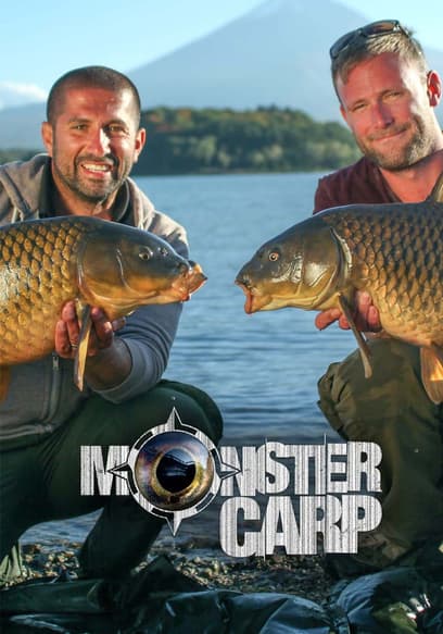 Watch Monster Carp S06:E04 - Dijon - France - Free TV Shows | Tubi