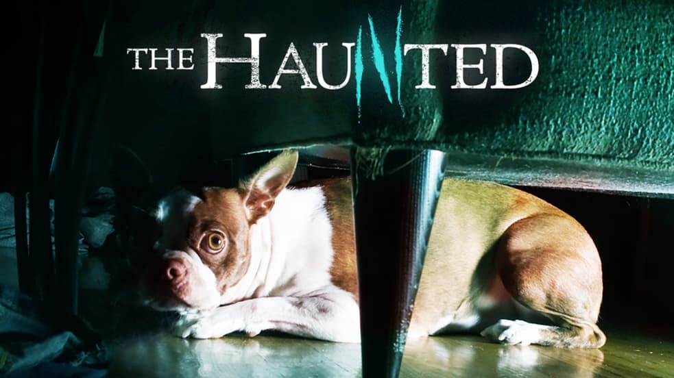 Watch The Haunted Season 2 Streaming Online | Tubi Free TV