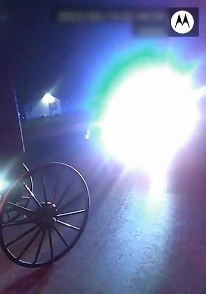 Watch My Strange Arrest S01:E03 - Drunk Horse and Buggy - Free TV Shows ...