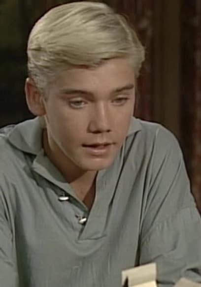 Watch Silver Spoons S04:E406 - Stratton and Stratton - Free TV Shows | Tubi
