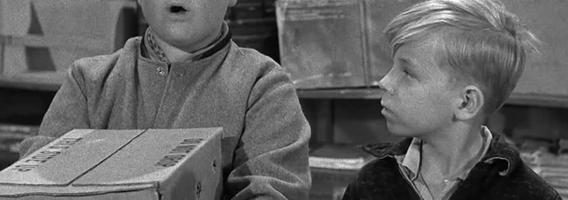 Watch Leave It to Beaver S02:E20 - Beaver's Pigeons - Free TV Shows | Tubi