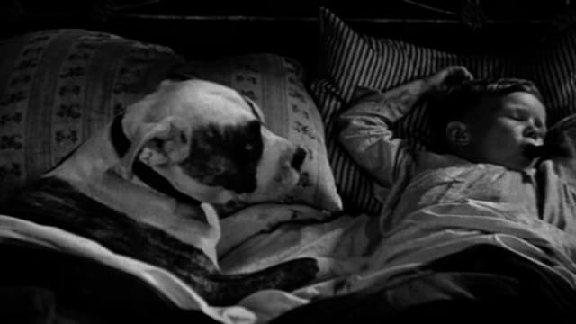 Watch The Little Rascals S01:E22 - Dog is Dogs - Free TV Shows | Tubi