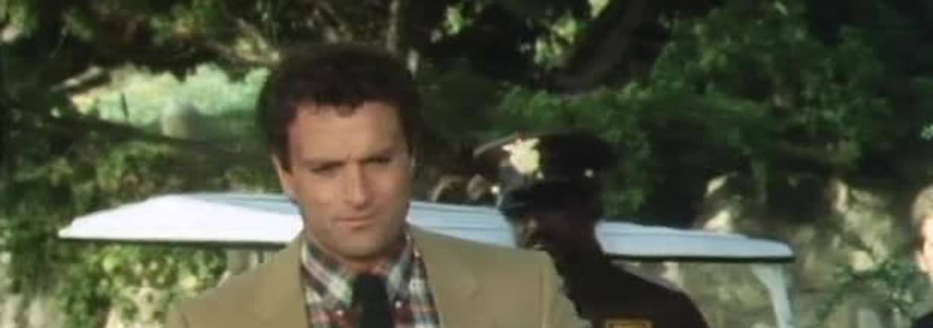 Watch Knots Landing S06:E18 - Fly Away Home - Free TV Shows | Tubi