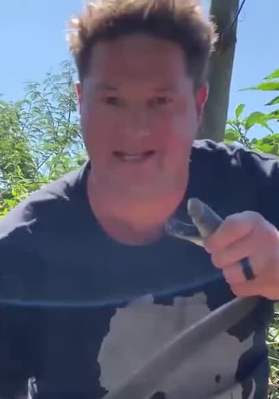 Watch Dingo Untamed S01:E08 - Boomslang in a Tree - Free TV Shows | Tubi