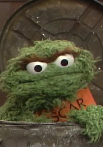 Watch Sesame Street S25:E39 - Wanda the Word Fairy - Free TV Shows | Tubi