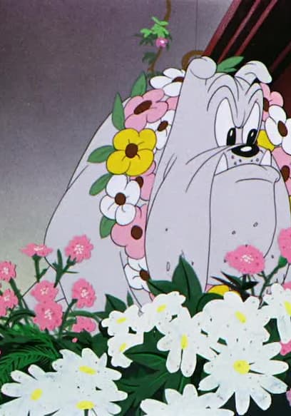 Watch Looney Tunes S10:E09 - Ding Dog Daddy / Gopher Goofy / Double ...